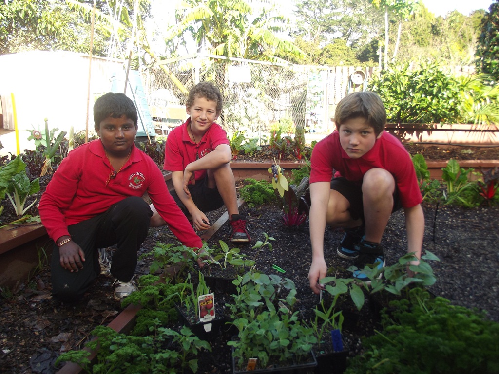 OPUA SCHOOL TUI GARDEN CHALLENGE 2012