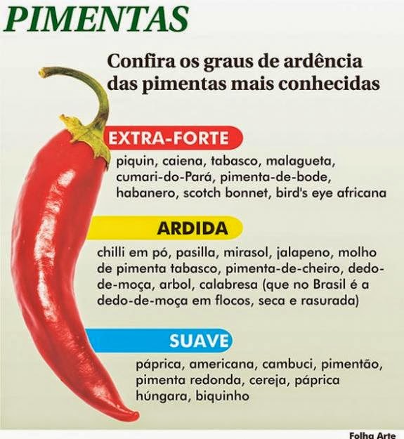 Pimenta no blog dos outros é refresco! | Viviendo en el México Mágico!