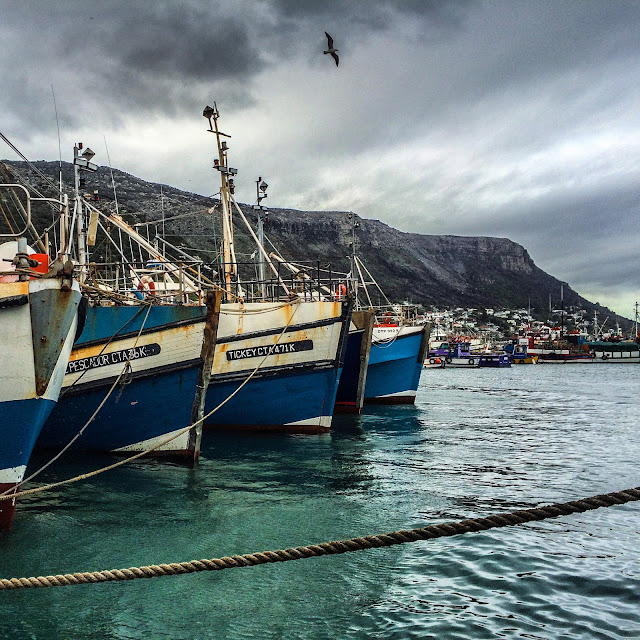 Michael Samuel Boren