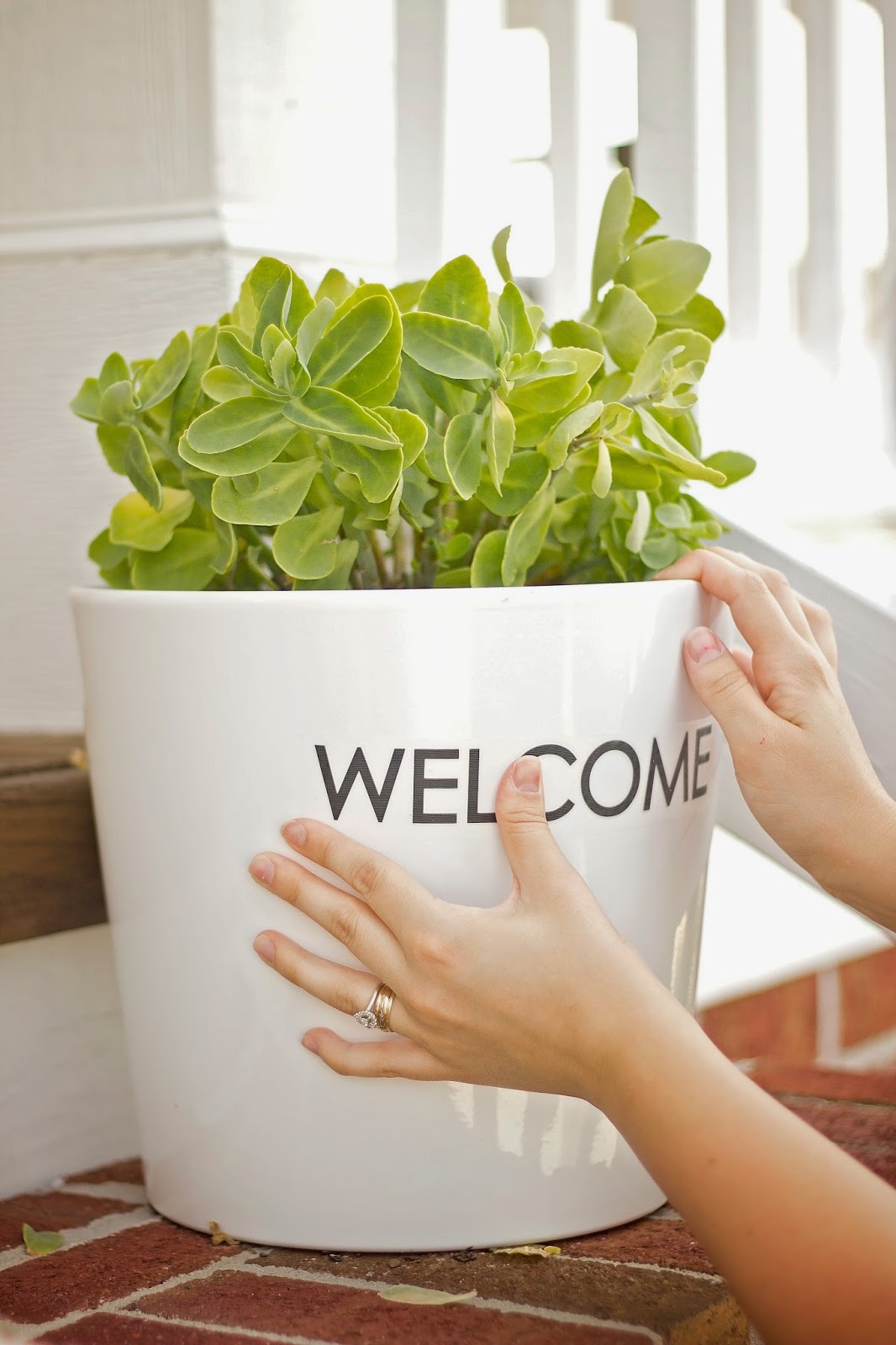 Little Wifey Lifey : Welcome Flower Pot