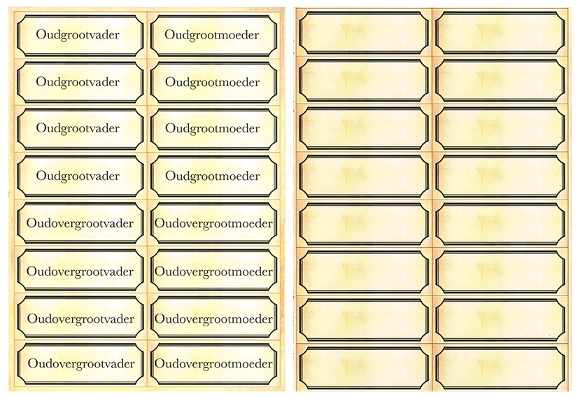 Familie in Beeld - Alles over familiegeschiedenis en stamboomonderzoek ...