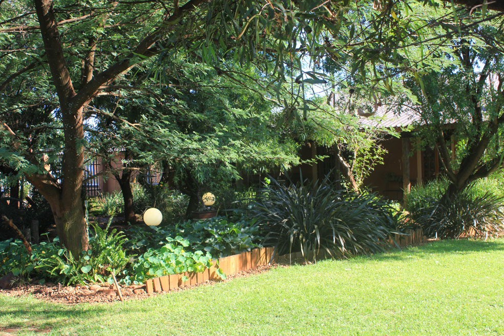 🌿 Tuinmaak in Suid Afrika 🌵: Eenvoudig en moeite vry