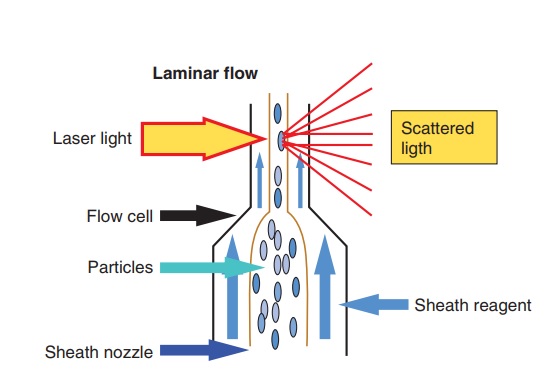 Automation of Urinalysis and Body Fluids Examination | Free Medical Atlas