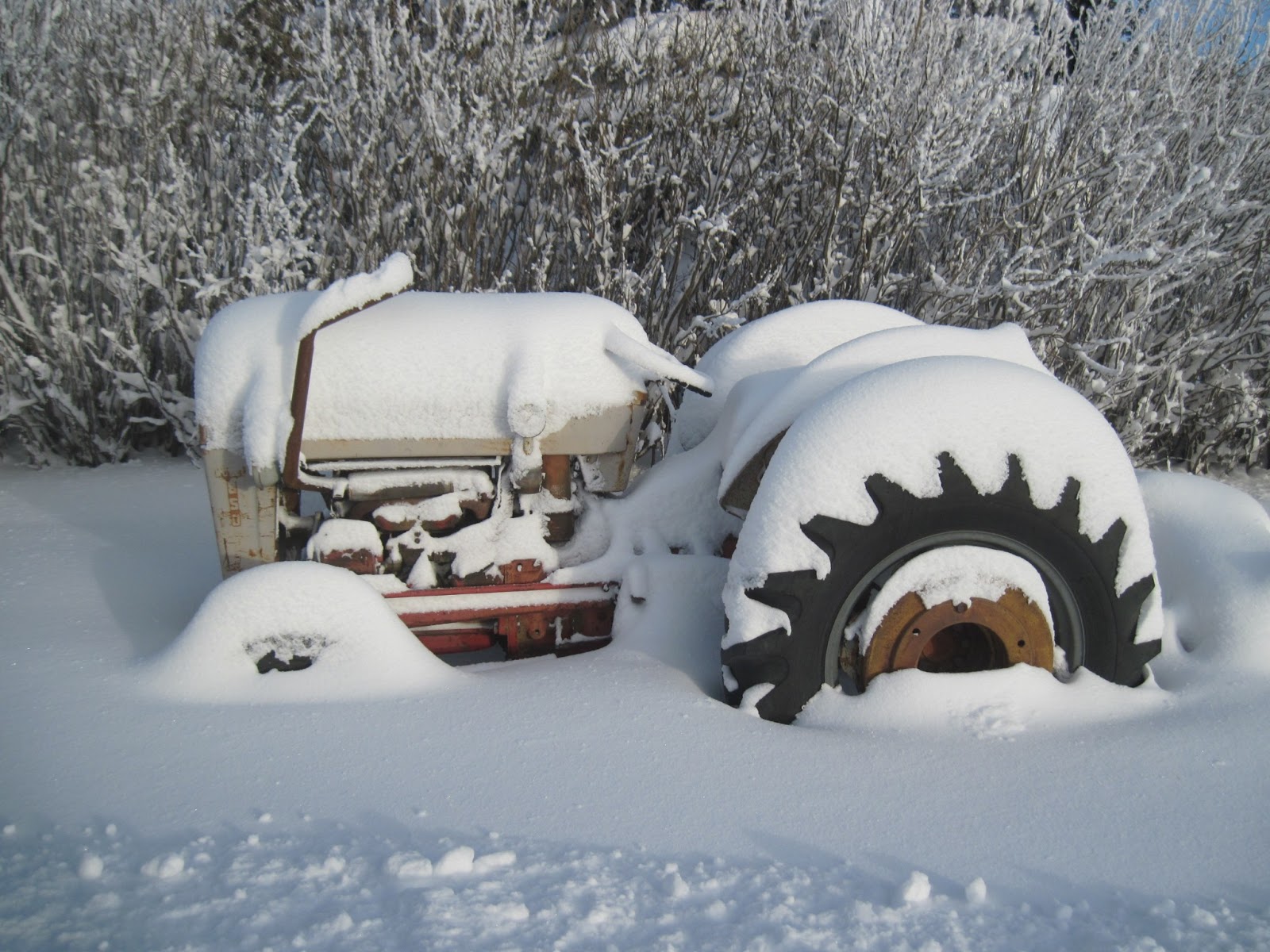 Pilgrim Farms: Blizzard Part 2: digging out