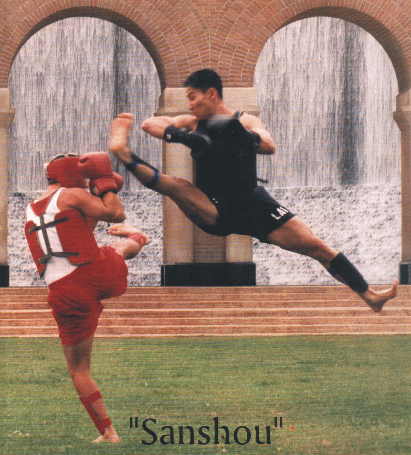 Kung.fu.chien.hou.oriental: SANSHOU