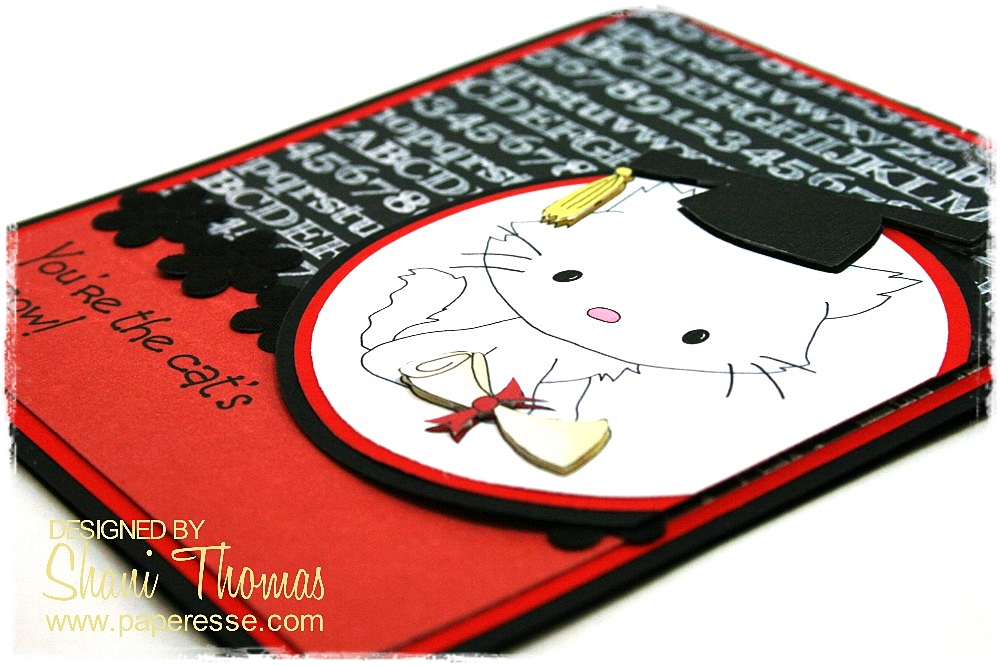 'Hello Kitty-ish' cat lover graduation card | Paperesse