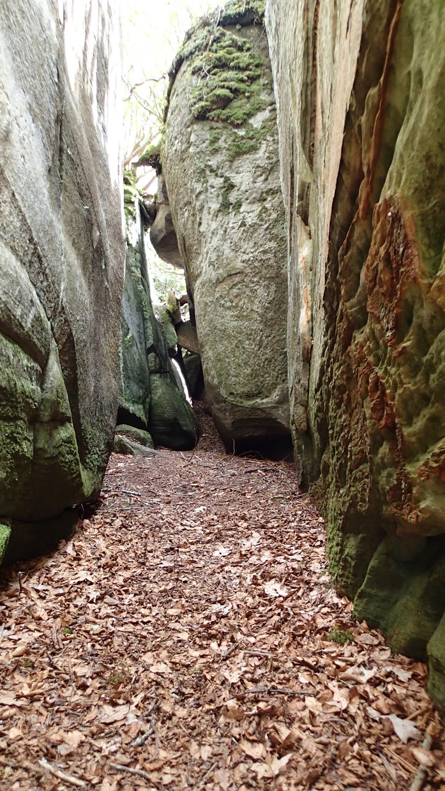 Ramblin': The Great Channels of Virginia