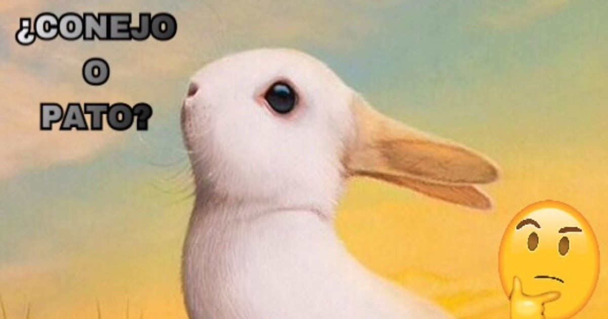Amor y Moda para ti: ¿QUE VES UN CONEJO O UN PATO? ¿O AMBOS? SEGÚN LO ...