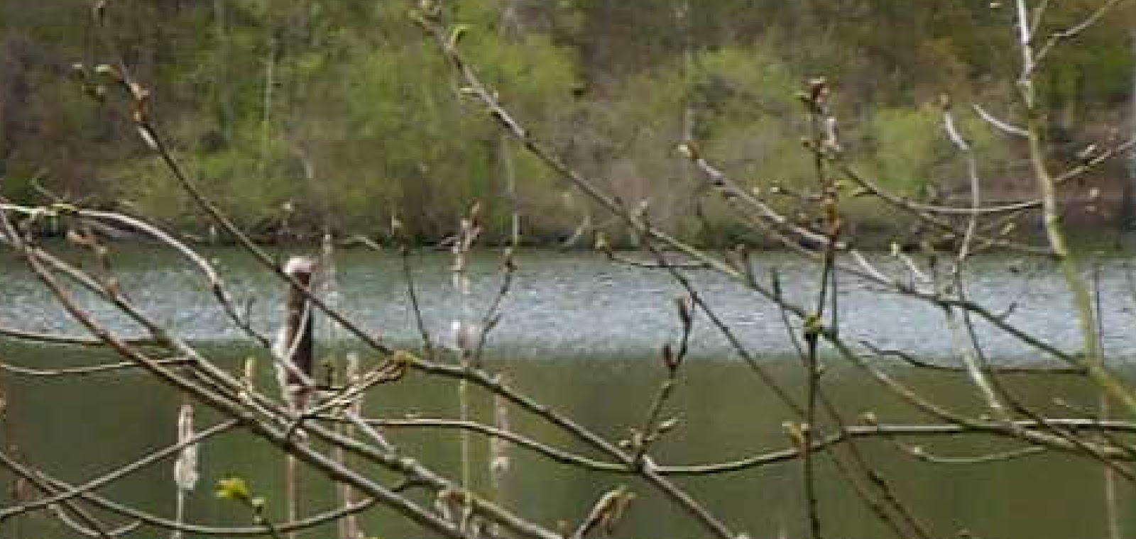 Digital graphics within interactive media: A (Bit) of (depth)