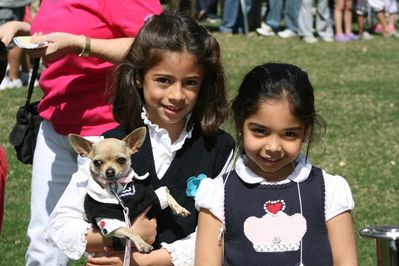 Ladies who do lunch in Kuwait: The 7th Annual PAWS for the Cause Kuwait ...