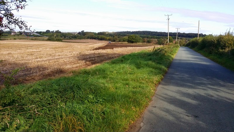 Lucy's Wednesday walks: Staffordshire Way - from Highgate Common