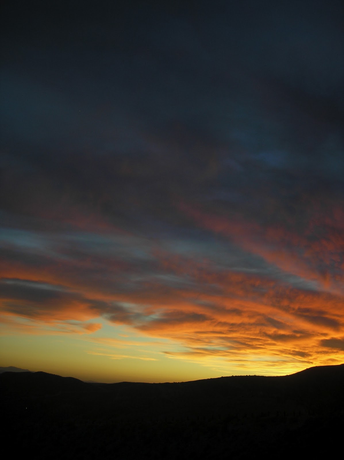 Estrellas de Sierra Nevada: Los arreboles