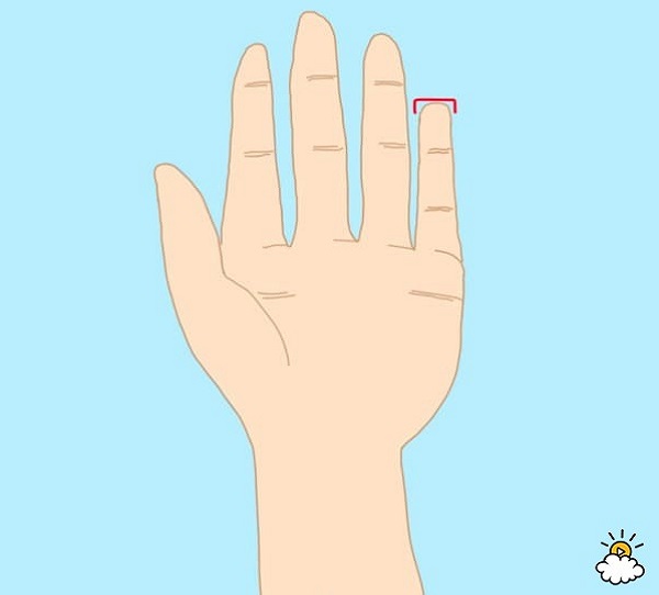 EASY PALMISTRY LESSONS FOR BEGINNERS ~ INDIAN PALMISTRY | PALM READING ...