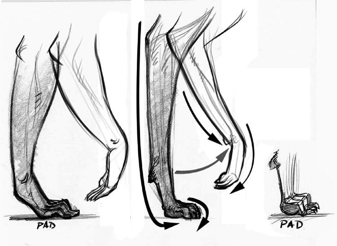 Walking Feet Sketch Templates