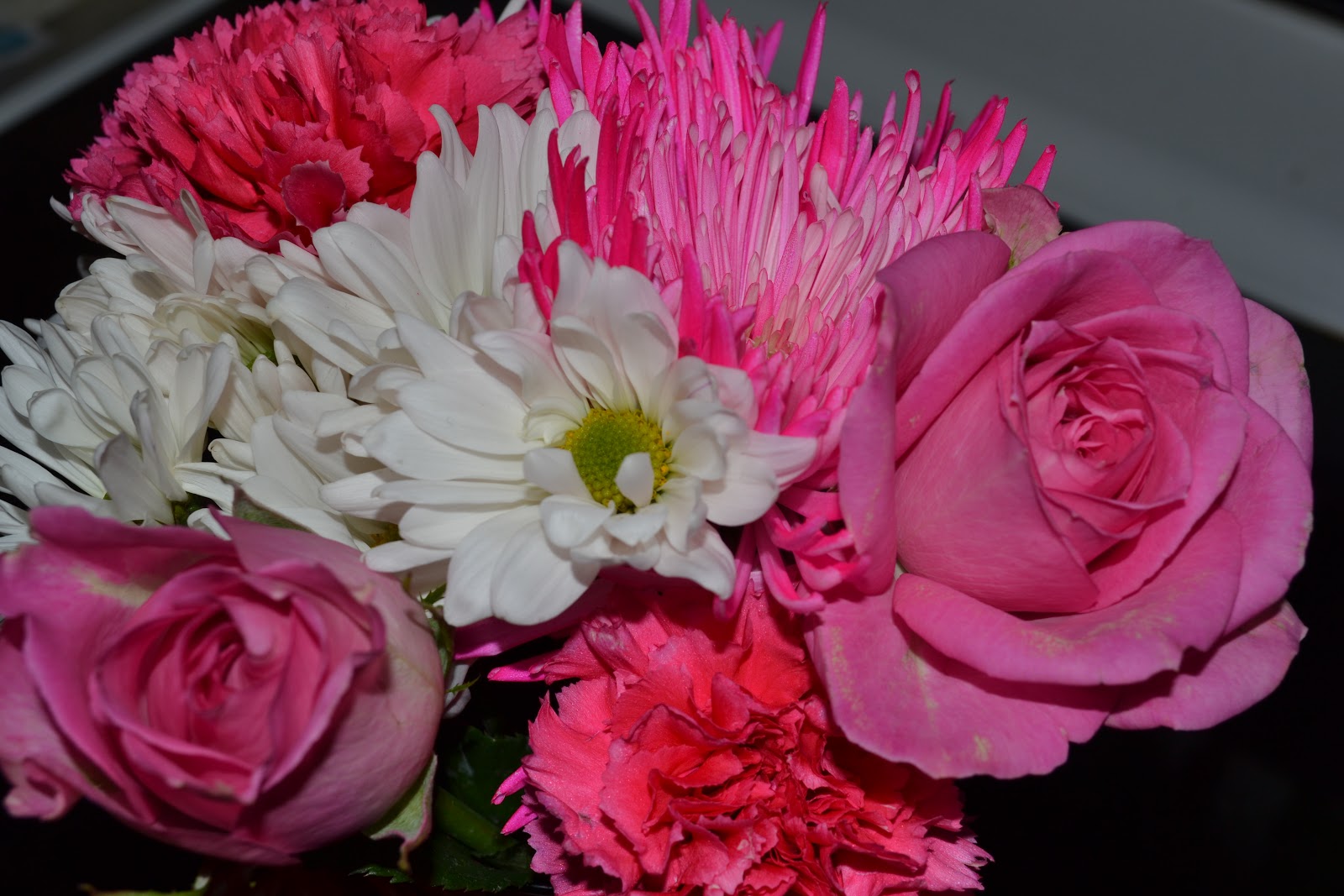 PITTMAN PHOTOGRAPHY: MORE FLOWERS