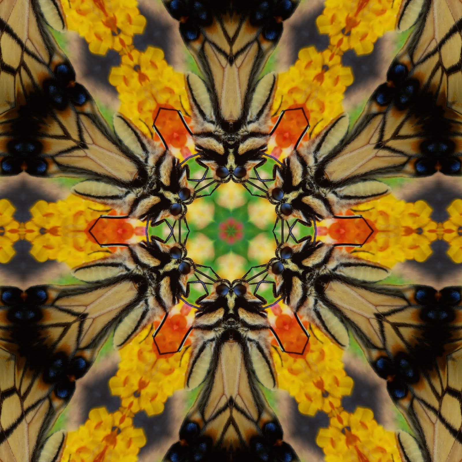 The Cryptic Corridor