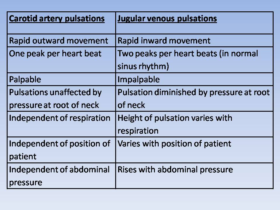 Know the Difference!! Carotid artery pulsations vs Jugular venous ...