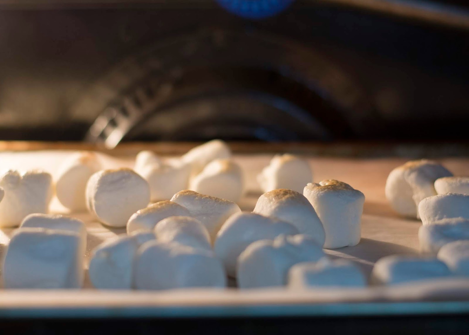 Toasted Rice Krispies Treats Recipe - Twirlerica