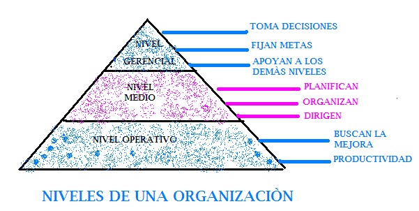 Elismar Solorzano: NIVELES BASICOS EN LA ORGANIZACIÒN