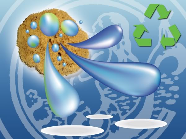 Natural Sponges VS Synthetic Sponges ~ Cambridge Greek Corner