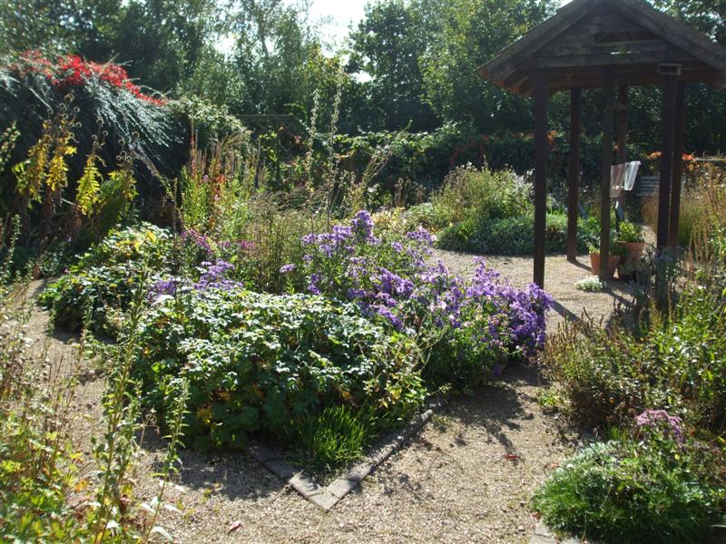 The Compost Bin: Wordless Wednesday - (Another) trip to Garden Organic ...
