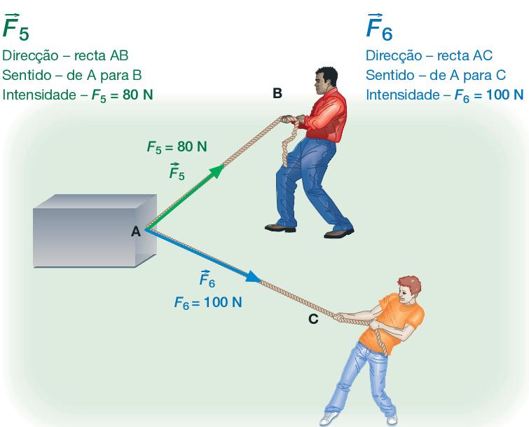 Portfólio de Biomecânica: FORÇA RESULTANTE