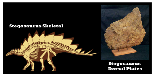 The Expeditioner's Discovery Guild: A little bit of Everything: Paleo ...