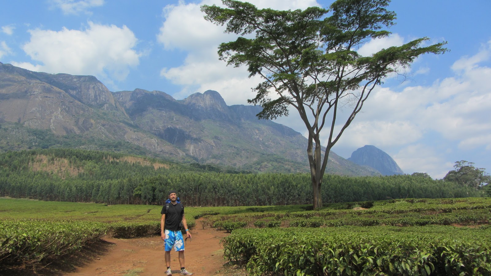 Long road up: Island in the Sky - Mount Mulanje