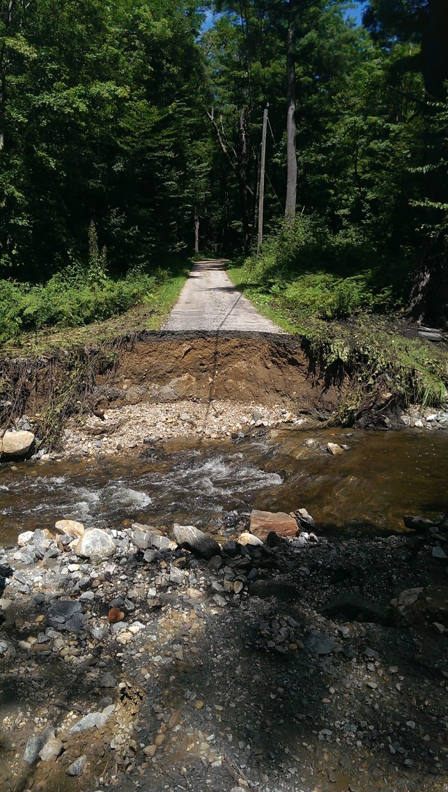 Aton Forest News: Beaver Pond Lost
