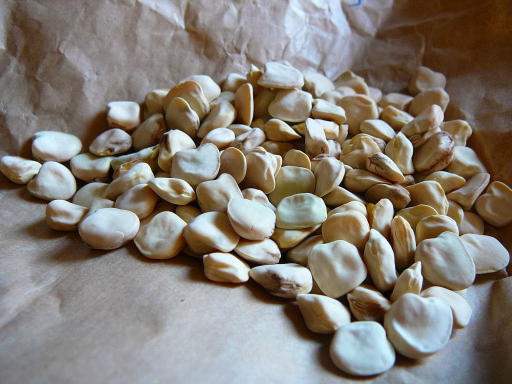 Szegletes lednek leves ~ Receptműves