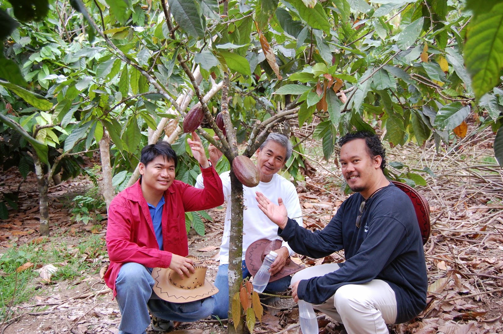 Pinoy Chocophile: Cacao Sense: The story of Dingayan Cacao Farm