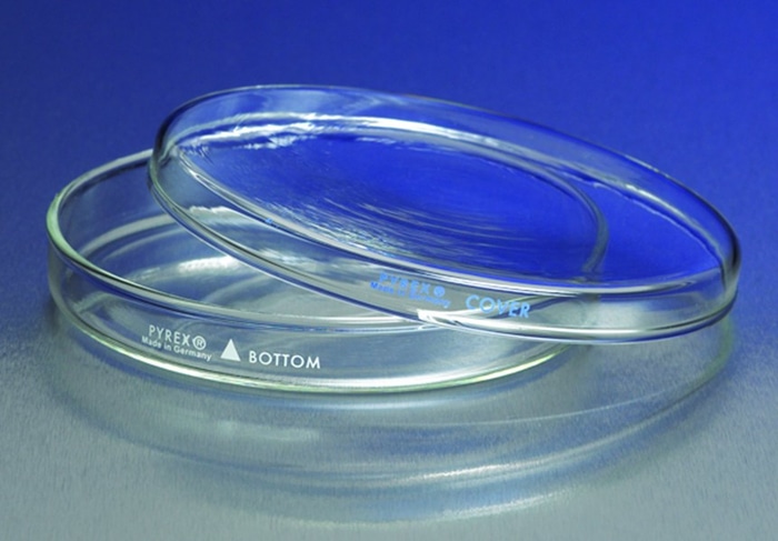 Fungsi Cawan Petri Laboratorium - FUNGSI ALAT