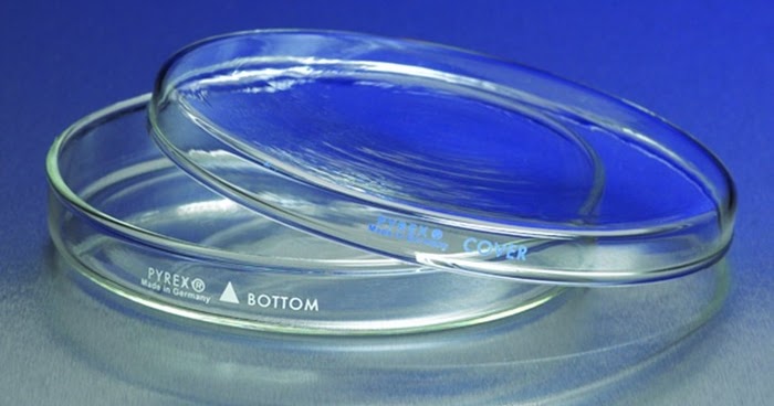 Fungsi Cawan Petri Laboratorium - FUNGSI ALAT