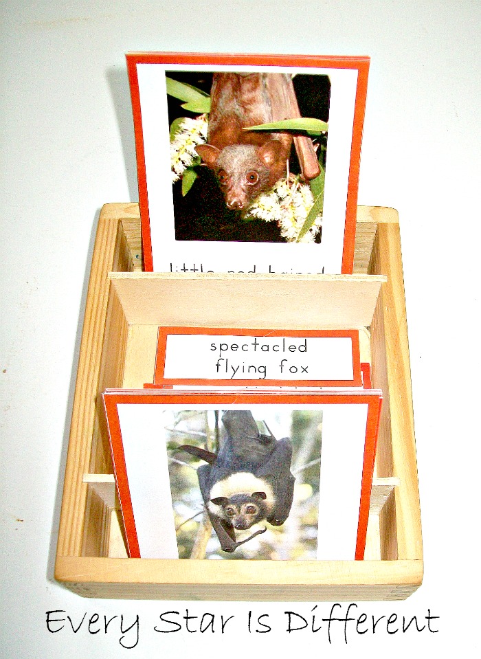 Bat Activities for Preschoolers with Free Printables - Every Star Is ...