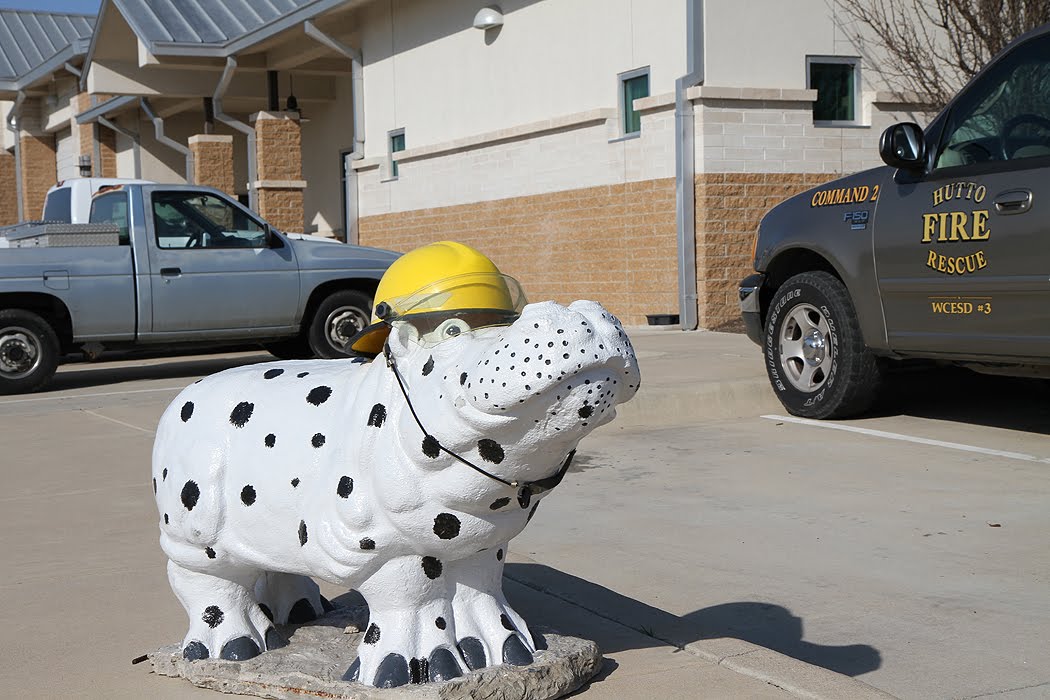 Texas Pop Culture: The Hippos of Hutto