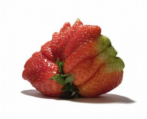 390z: Bizarre Mutant Fruits and Vegetables