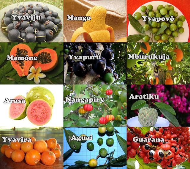 Cultura Guaraní: EL ORIGEN DE LOS GUARANÍES