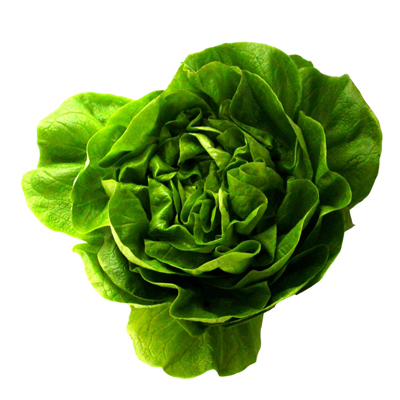 LAS LECHUGAS: Historia