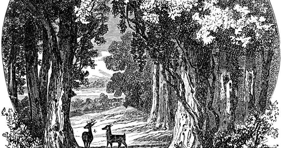 Great Warriors Path: Comedy of Errors: the Battle of Maguaga, August 9 ...