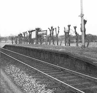 Public Transport Experience: Bordon on the Border [2]