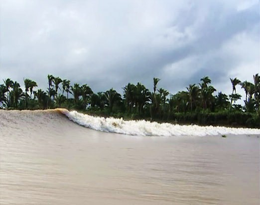 O LIVRO DE AREIA: O Macaréu, onda de maré ou tsunami fluvial
