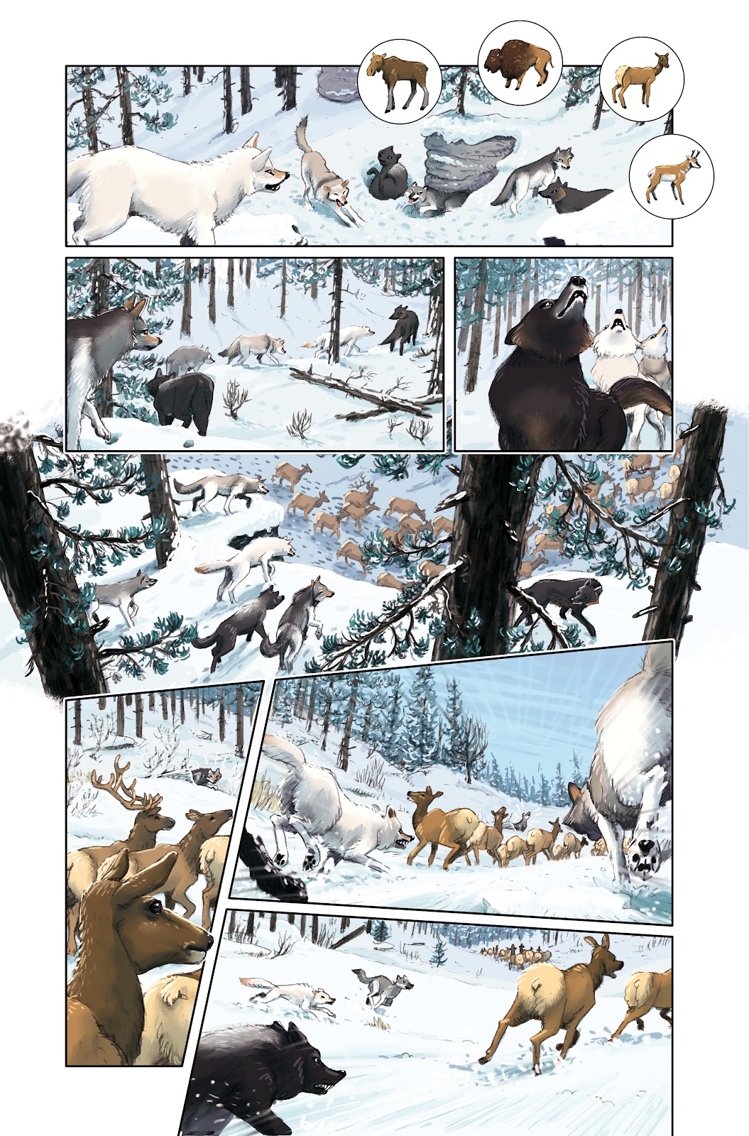 Didier Eberlé - Bande Dessinée: — Faim de loup