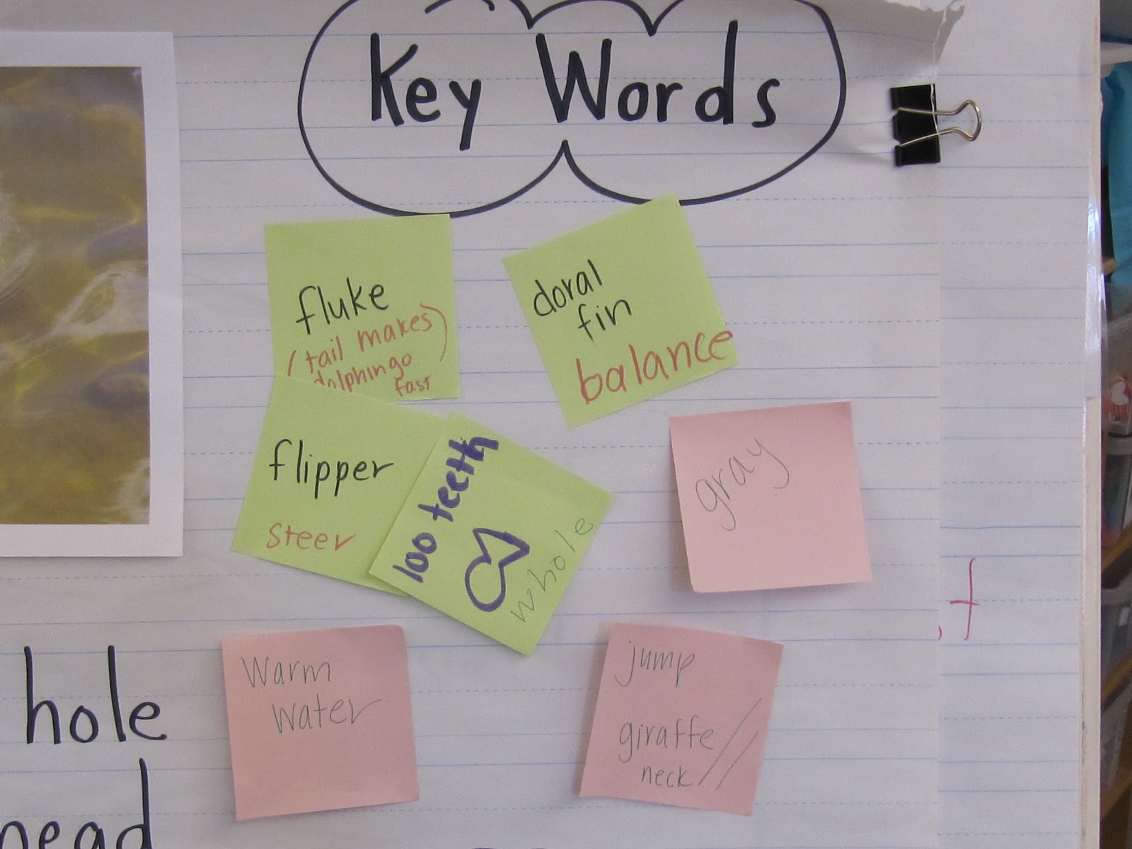 Joyful Learning In KC: Nonfiction Writing in KC
