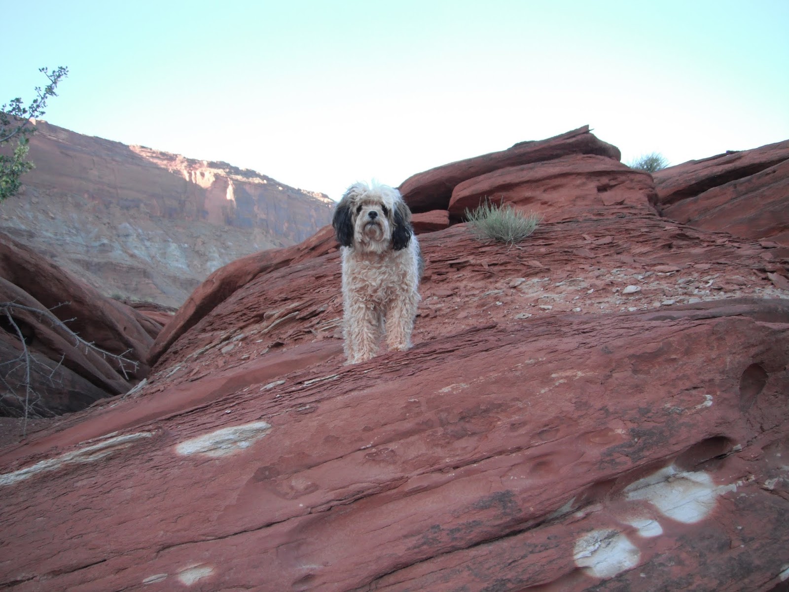 Base Camp - Moab, UT: Friday Morning (Boring) Hike
