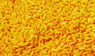 CaTaTannnn Anti'A: Golden Rice