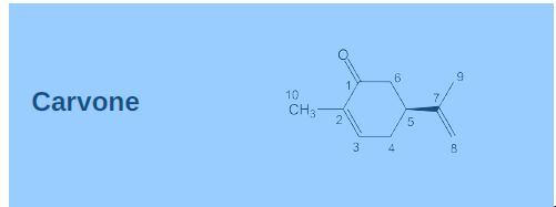 ORGANIC SPECTROSCOPY INTERNATIONAL: Carvone 1/2