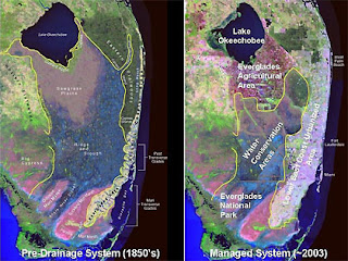 The Everglades: The History