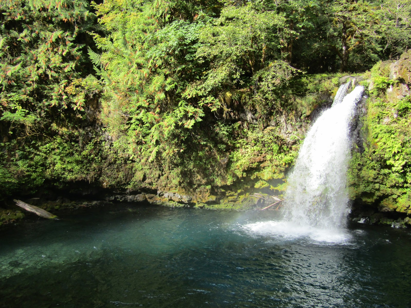 Holly Blogs Her Adventures