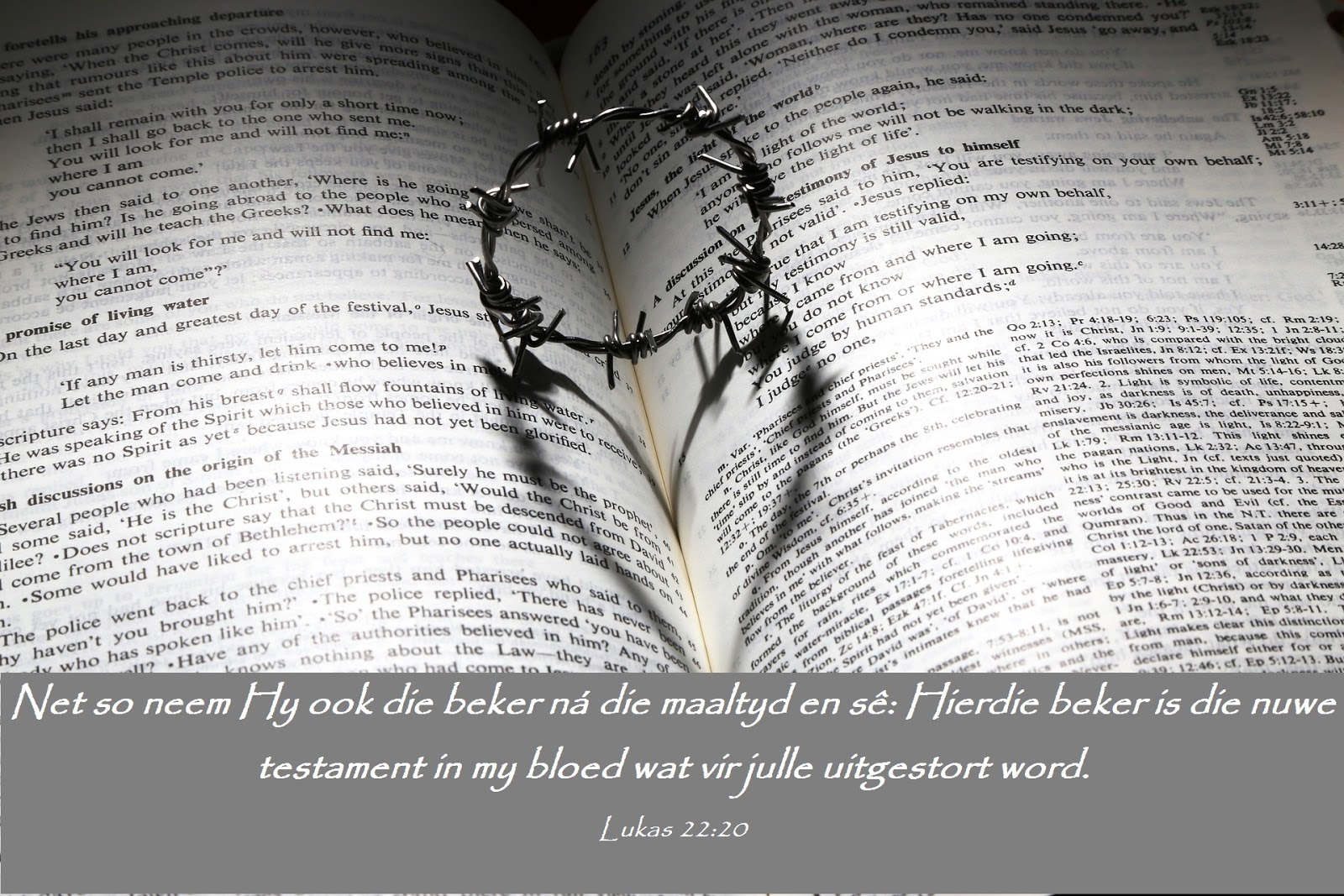 Bondgenoot van die Almagtige – Madeleine Venter