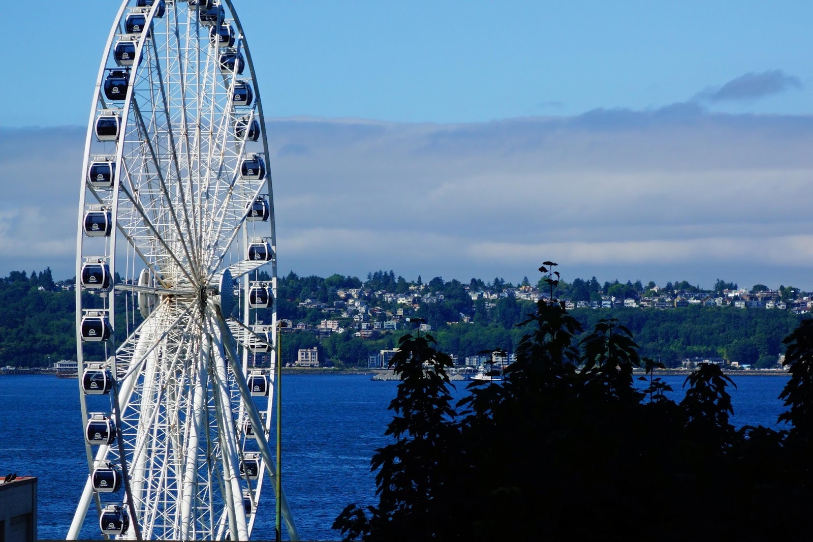 La Lair On Wheels: Seattle is in a Quagmire